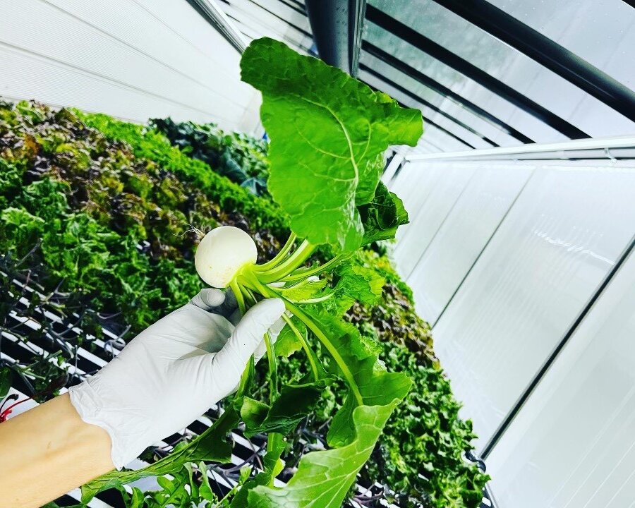 GetBlok Farms© Enters Renewable Energy Agreement with ENGIE - ENGIE ...